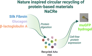 Nature-inspired recycling of a protein mixture into a green fluorescent ...