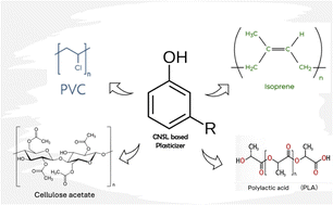 CNSL-based plasticizers, a promising and sustainable alternative to ...