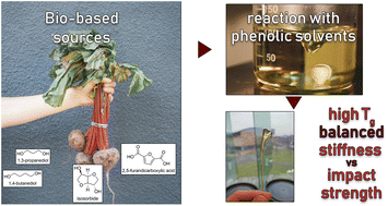 The search for rigid, tough polyesters with high Tg – renewable ...