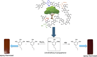 Multi-functional syringol based epoxides and properties of their ...