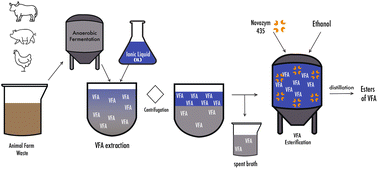 Volatile fatty acid extraction from fermentation broth using a ...