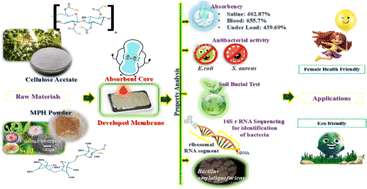 Utilization of green resource-based Mimosa pudica hydrogel powder in a ...