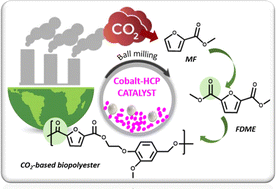 Insertion of CO2 to 2-methyl furoate promoted by a cobalt ...