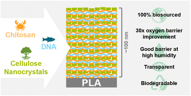 Fully biobased and biodegradable oxygen barrier coating for poly(lactic ...