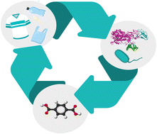 Thermochemical and chemo-biological molecular recycling of plastic ...
