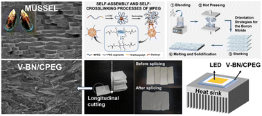 Mussel-mimetic thermal conductive films with solid–solid phase change ...