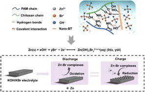 Enhanced zinc reversibility enabled by zinc–bromide complexation of a ...