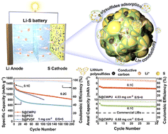 An interweaving 3D ion-conductive network binder for high-loading and ...