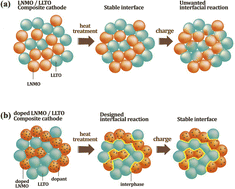 In situ interphase engineering for all-solid-state Li batteries: a case ...