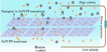 Self-assembled two-dimensional metal–organic framework membranes as ...
