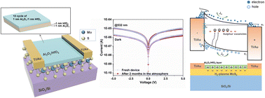 High responsivity and stability of MSM structured MoS2 photodetectors ...