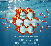 Superhydrophilic covalent organic frameworks accelerate photocatalytic ...