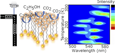 Selectively activated suppressed quantum networks in self-assembled ...
