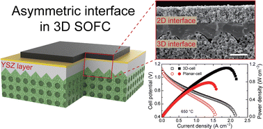 Unraveling the effects of asymmetric interfaces in three-dimensional ...