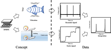 Synchronous monitoring of underwater dynamic/static pressure based on ...