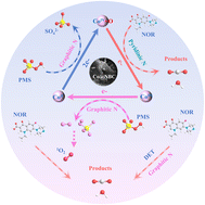 High-efficiency degradation of norfloxacin by Co–N co-doped biochar ...