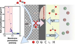 Unravelling the key role of ion-exchange membranes in water management ...