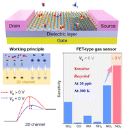 An ultra-sensitive and recyclable FET-type toxic gas sensor based on ...