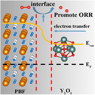 Boosting the ORR kinetics of protonic ceramic fuel cells via surface ...
