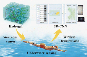 A flexible wearable sensor based on anti-swelling conductive hydrogels ...
