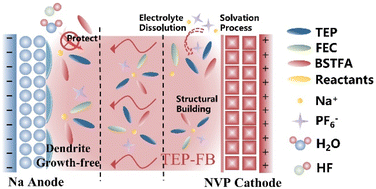 Inhibition of sodium dendrites by solvent structural reorganization for ...