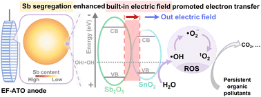 Self-supported antimony tin oxide anode with Sb segregation promoted ...
