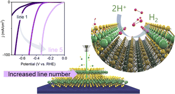 Path-dependent hydrogen evolution reaction via selective etching of ...