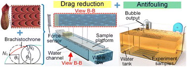 Drag reduction and antifouling of a spontaneous fast moving air film ...