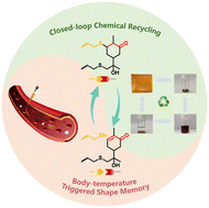 “Polymer to polymer” recycling and body-temperature triggered shape ...