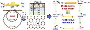 DFT screening of dual-atom catalysts on carbon nanotubes for enhanced ...