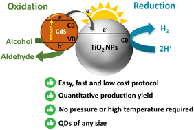 Dual solar-driven hydrogen evolution and alcohol oxidation with CdS ...