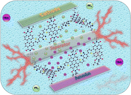 Conjugated polymer electrodes fabricated using rylene-based acceptors ...