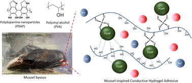 Mussel-inspired sticky self-healing conductive hydrogels composites for ...