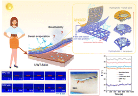 Design of a unidirectional water-transport skin-derived wearable ...