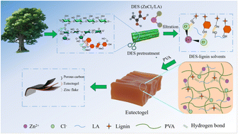Deep eutectic solvent-based eutectogels consisting of ZnCl2 and lignin ...
