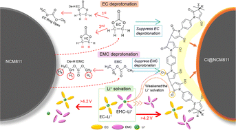 Carbonate deprotonation on an Ni-rich layered cathode: development of a ...
