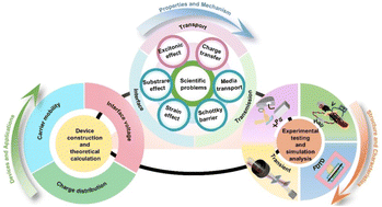 Interface and interlayer electron/exciton–phonon coupling of TMDs/InSe ...