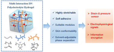 A multi-interaction conductive double-network polyelectrolyte hydrogel ...