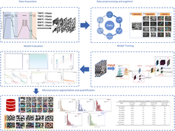 An automatic segmentation and quantification method for austenite and ferrite phases in duplex ...