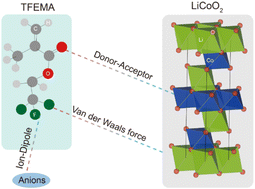 Polymeric ionic conductor networks enable stable cycling of high ...