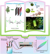 Advancements in biomass-derived cellulose composite electrodes for ...
