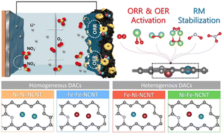 Sequential element control of non-precious dual atom catalysts on ...