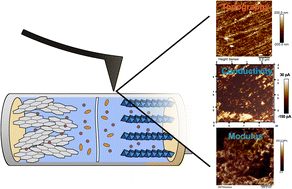 Recent advances in characterization of rechargeable battery materials ...