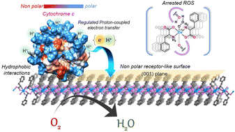 A self-assembled nanozyme featuring precise active centers and ...