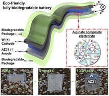 Long-lasting, flexible and fully bioresorbable AZ31–tungsten batteries ...