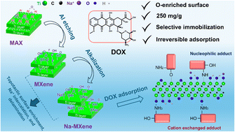 Selective captivation of DOX via topotactic surface enrichment with ...
