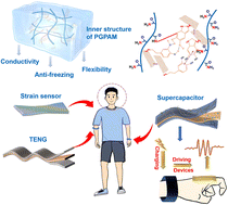 Versatile hydrogel towards coupling of energy harvesting and storage ...