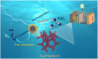 Enhanced electrocatalytic nitrogen reduction on a three-dimensional ...