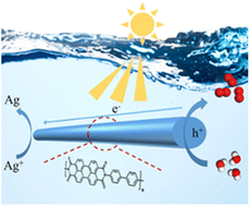 Linear PDI-based conjugated polymers with directional charge transport ...
