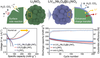 Functionalities of the LiV3−xNbxO8 surface layer on a Li2NiO2 cathode ...
